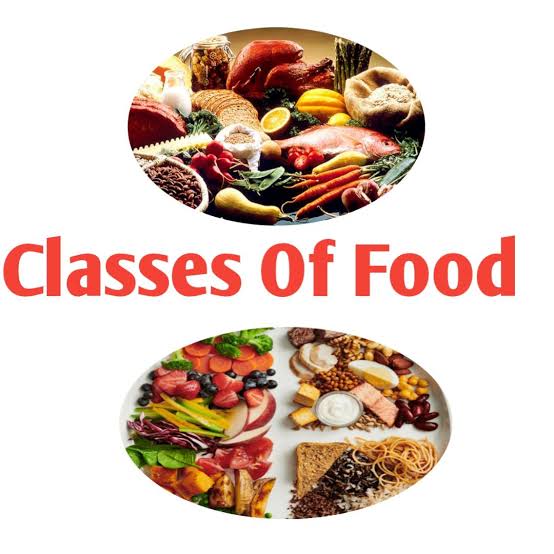 Gradely | Classes of Food – Basic Science Grade 7